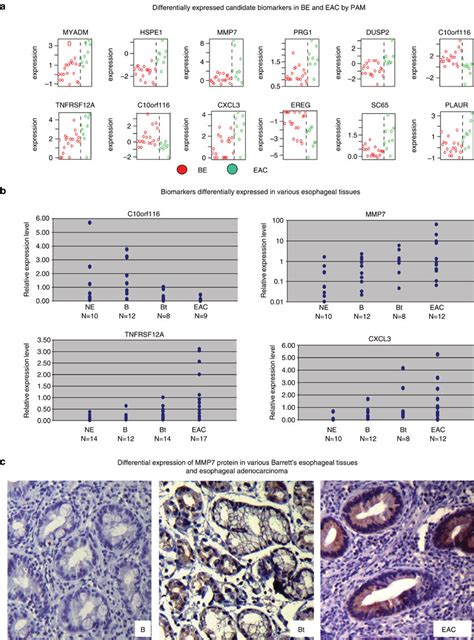 Biomarker Prediction And Data Validation A Biomarker Predicted By