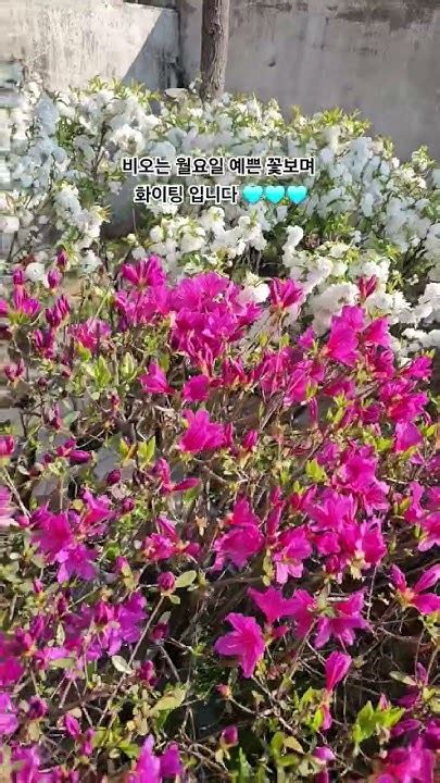 김용빈신곡금수저 Youtube