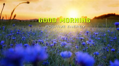 Beautiful Morning Music Inspiring And Fresh Positive Energy Morning