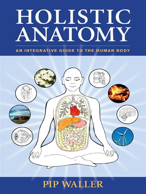 Solution Holistic Anatomy An Integrative Guide To The Human Body