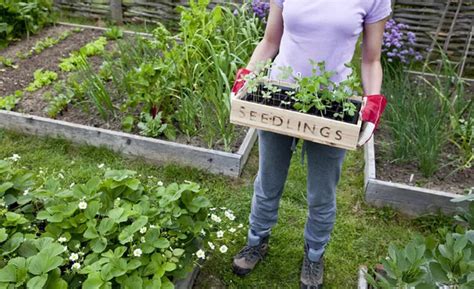 Understanding Scope Creep In Your Garden Arckonnect