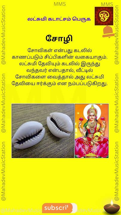 சோழி பிரசன்னம் முறை Choli Prasannam In Tamil Youtube