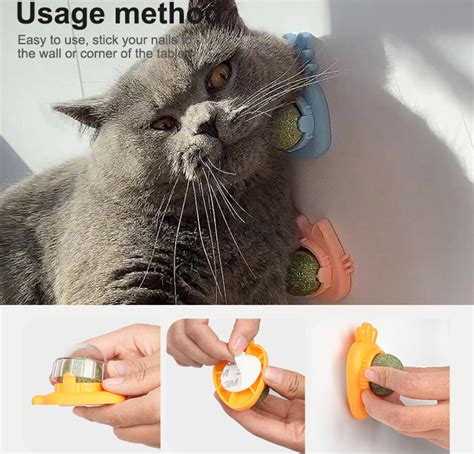 wall catnip ball toy