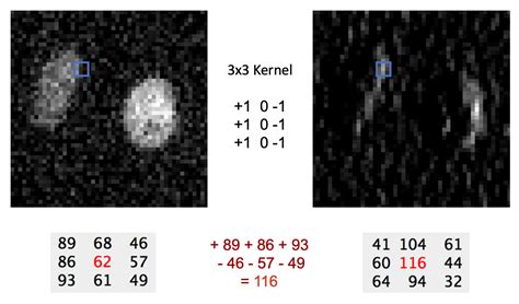 Convolutional Filters Bioimage Analysis Training Resources