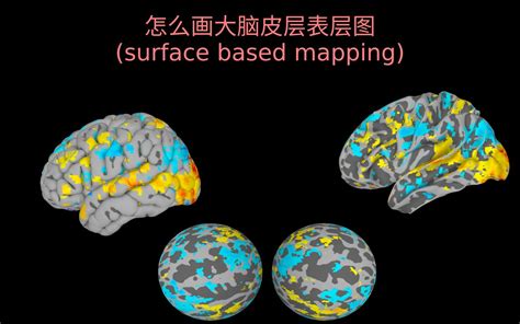Fmri小技巧：怎么画一个好看的大脑皮层表层图surface Based Mapping哔哩哔哩bilibili