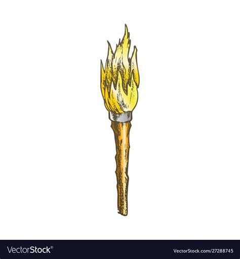 Torch Handmade Old Wooden Burning Stick Color Vector Image