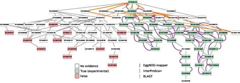 Fast Genome Wide Functional Annotation Through Orthology Assignment By Eggnog Mapper Pmc