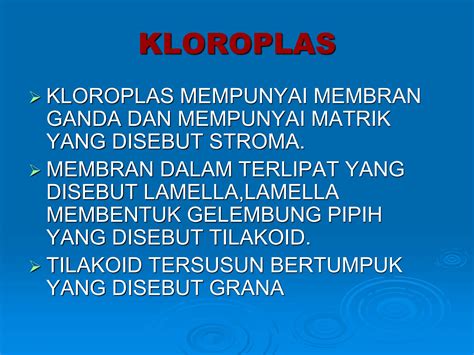 Biologiselppt 2 Read Only Compatibility Modepdf