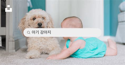 아기 강아지 사진 Unsplash에서 무료 이미지 다운로드