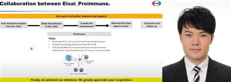 Proscern® Dc T Cell Proliferation Assays Proimmune