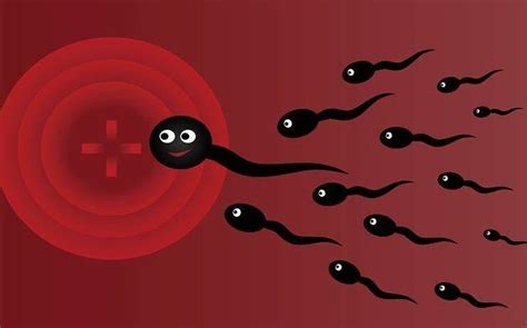 为何你的精子没有活力？男性精子较上世纪40年间已下降超六成 知乎