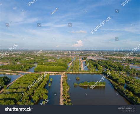 76 Mangrove Shrimp Farm Vietnam Images Stock Photos Vectors