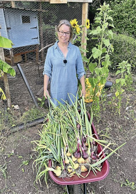 Our Journey So Far Kitchen Garden Gardening Read This Story On