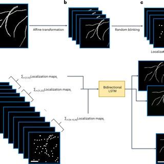 Generation And Analysis Of Simulated Filament Data A We Simulated A