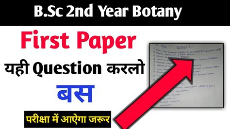 B Sc Nd Year Botany Imp Questions YouTube