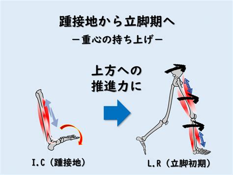 脳卒中片麻痺患者の歩行を変える6つの戦略 In 名古屋｜pt Ot Stnet