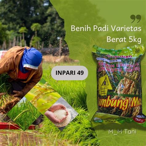 Jual Benih Bibit Padi Unggul Varietas Inpari Berat Kg Shopee Indonesia