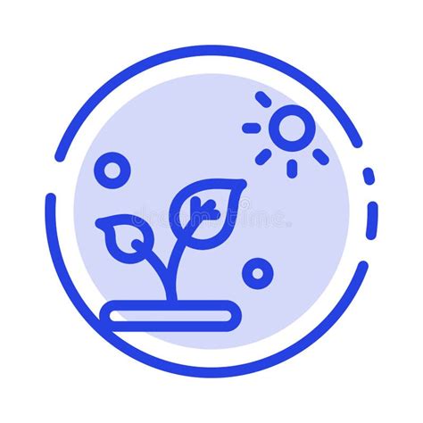 Biology Plant Science Sun Blue Dotted Line Line Icon Stock Vector Illustration Of Corn