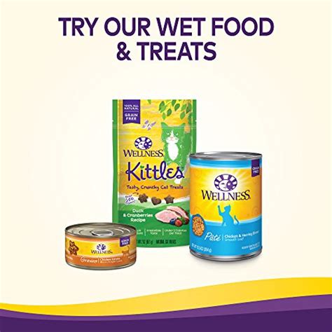 Wellness Complete Health Natural Grain Free Salmon And Herring Indoor Dry