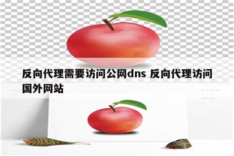 反向代理需要访问公网dns 反向代理访问国外网站 技术分享 Xp资讯网
