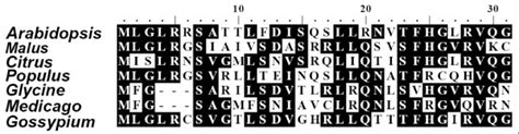Mitochondrial Targeting Sequence Alignment Of Numit Rps13 Predicted