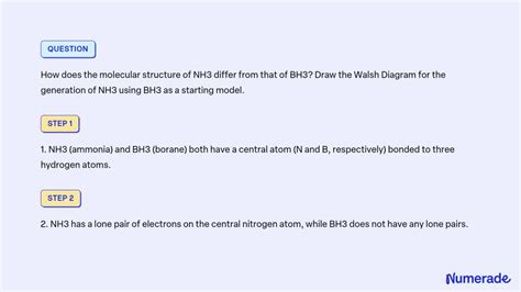 Solved How Does The Molecular Structure Of Nh3 Differ From That Of Bh3