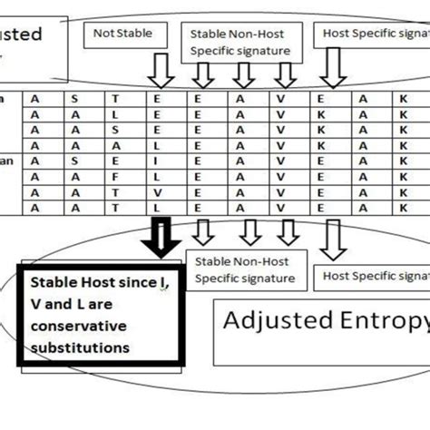 The Blosum62 Scoring Matrix For Amino Acid Substitution A Table Value Download Scientific