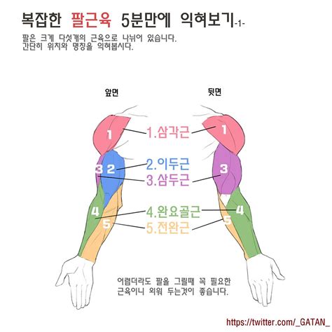 머리카락에 있는 핀