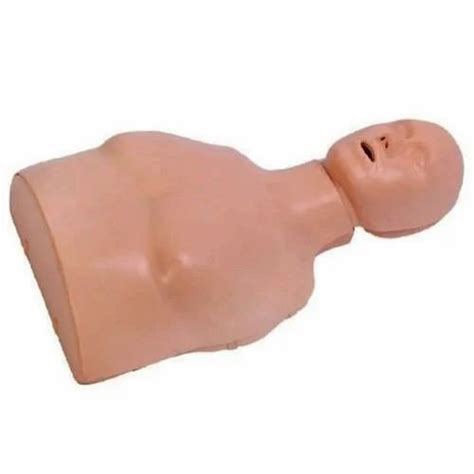 Cpr Training Manikins Manufacturer From New Delhi