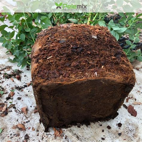 Pelemix Agriculturalinnovation Sustainablefarming Healhtyroots