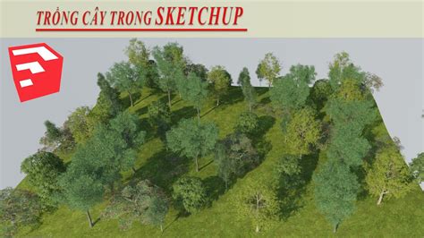 SketchUp Vray proxy A forest in SketchUp Trồng cây trong SketchUp