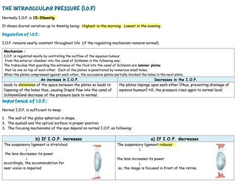 SOLUTION Physiology Of Opthalmic Module2 Studypool