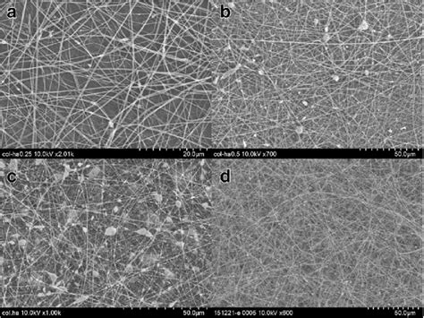 Sem Micrographs Of Collagen Nanofibers Scaffolds Electrospun Using