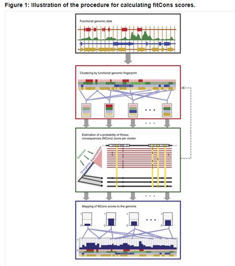 New Computation Method Helps Identify Functional Dna Department Of