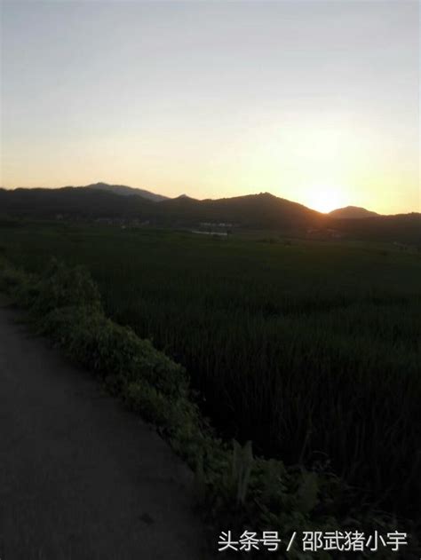 幾度夕陽紅 每日頭條