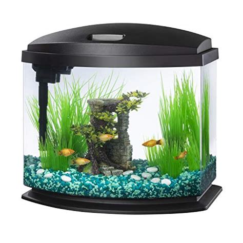 I Tested And Ranked The Best Self Cleaning Fish Tank In And Here
