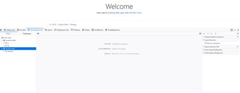 C Unable To Debug Some Asp Net Core2 2 Web Pages With Firefox How