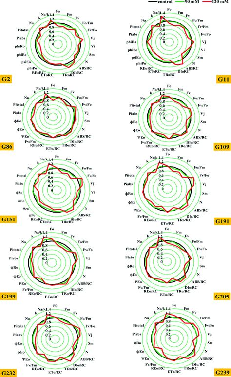 Spider Plot Presenting The Jip Test Parameters Table 2 Calculated Download Scientific Diagram