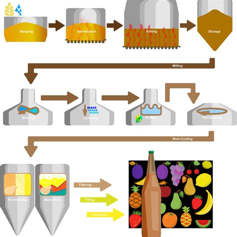 Major Steps In The Brewing Process Download Scientific Diagram