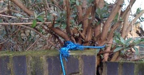 Les Logiciels De Sauvegarde R Journalduhacker