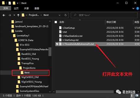 基于loreta的eeg静息态脑网络分析 Csdn博客