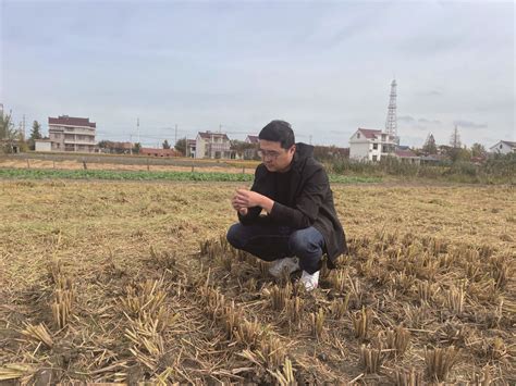 图片新闻 如东日报