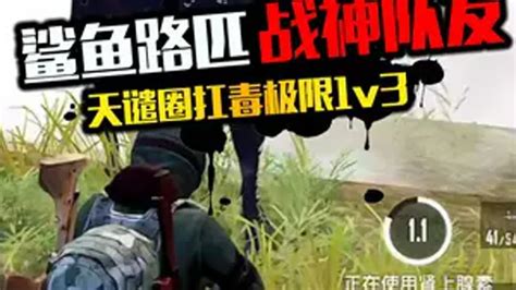 鲨鱼进圈途中抓到扛毒崽，天谴圈极限扛毒1v3？ 鲨鱼哟syy 和平精英 和平精英教学 和平精英流浪地球 和平精英地铁逃生 Youtube