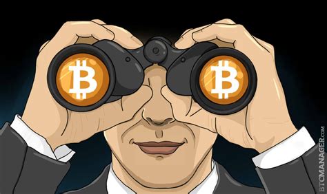 Startups Create Dark Web Fraud Detection Tech