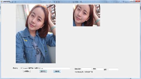 Picturebox Csdn