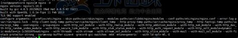 Centos 7查看nginx状态命令 美国主机侦探