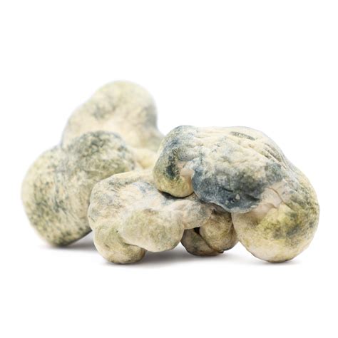 Buy Leucistic Burma Magic Mushrooms Edible Mushrooms Uk