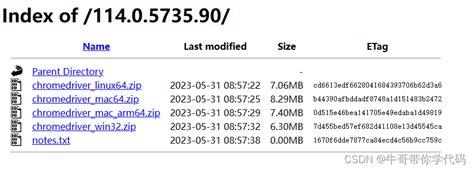 利用python和selenium编程，实现定时自动检索特定网页，发现特定网页内容发生变化后，向管理员发送提醒邮件（二——selenium和
