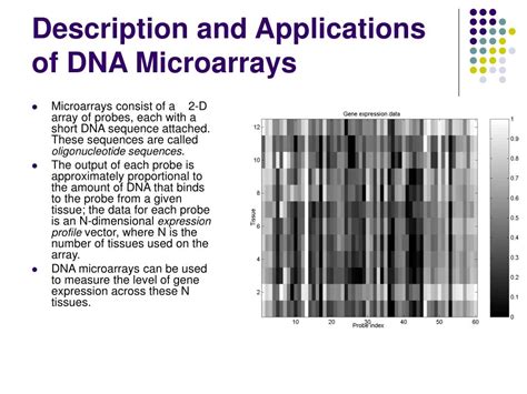 PPT Detection And Compensation Of Cross Hybridization In DNA Microarray Data PowerPoint