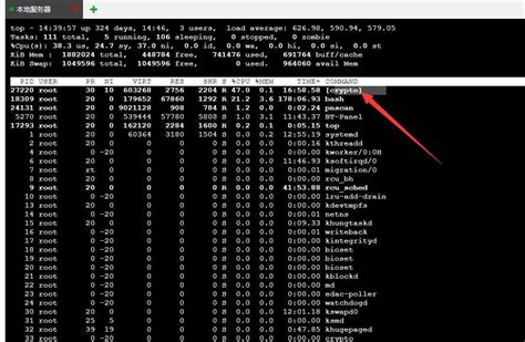 阿里云服务器发现挖矿病毒 crypto和pnscan 导致cpu占用100 问题解决方案 超详细 猿视野
